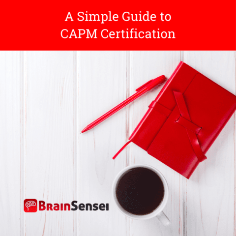 A Simple Guide to CAPM Certification - Brain Sensei
