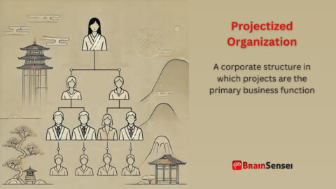 Projectized Organization: Benefits and Challenges