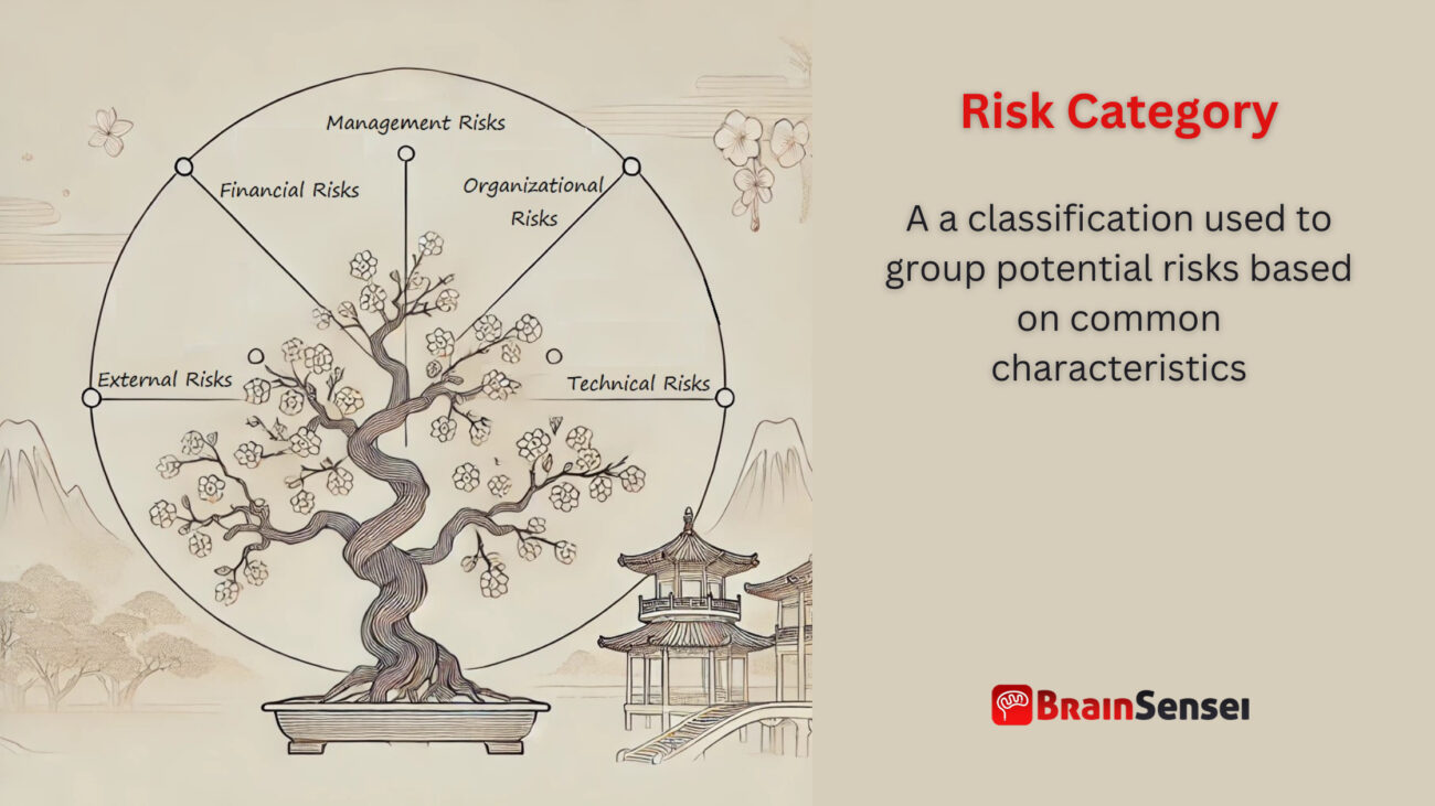 Risk Category: Understanding Project Management Risks